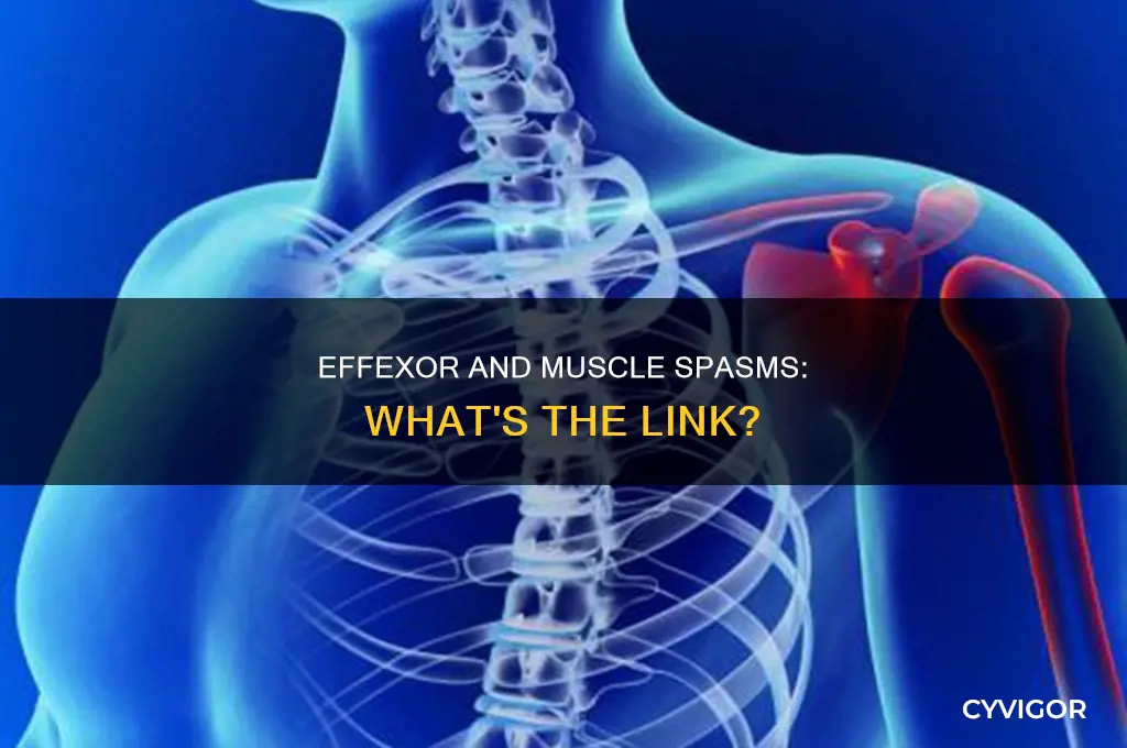 Effexor And Muscle Spasms: What's The Link? | CyVigor