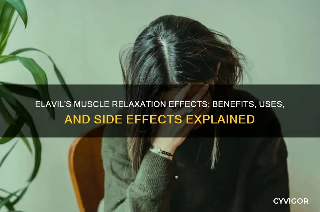 Elavil's Muscle Relaxation Effects: Benefits, Uses, And Side Effects ...