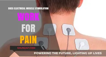 Do Electric Muscle Stimulators Really Work? Unveiling The Truth | CyVigor
