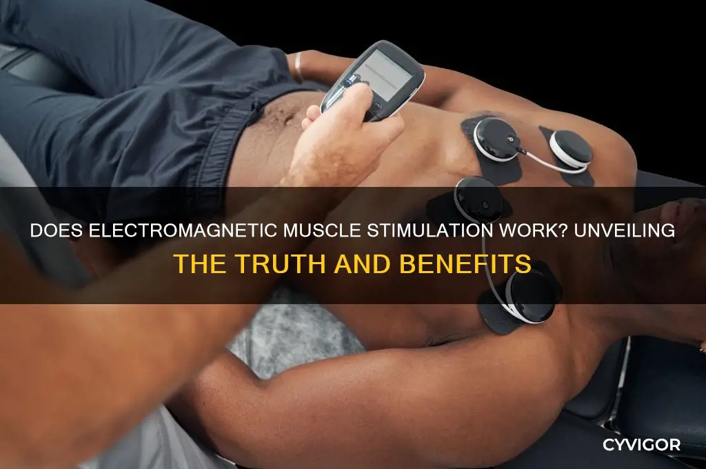 Does Electromagnetic Muscle Stimulation Work? Unveiling The Truth And ...