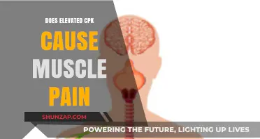 Elixis And Joint Pain: What's The Connection? | CyVigor