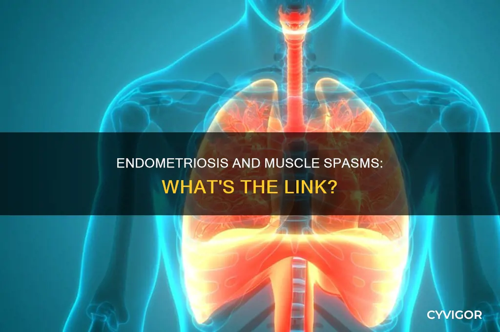Endometriosis And Muscle Spasms: What's The Link? | CyVigor