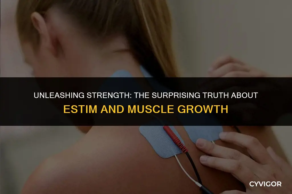 Unleashing Strength: The Surprising Truth About Estim And Muscle Growth ...