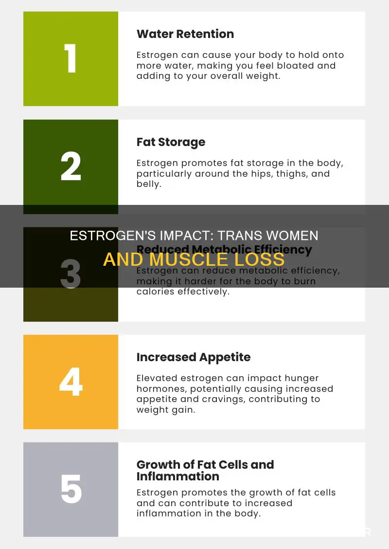 Estrogen's Impact: Trans Women And Muscle Loss | CyVigor
