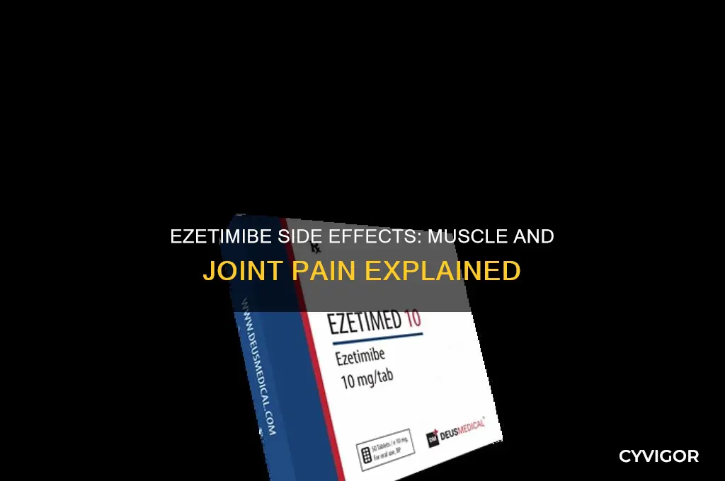 Ezetimibe Side Effects: Muscle And Joint Pain Explained | CyVigor