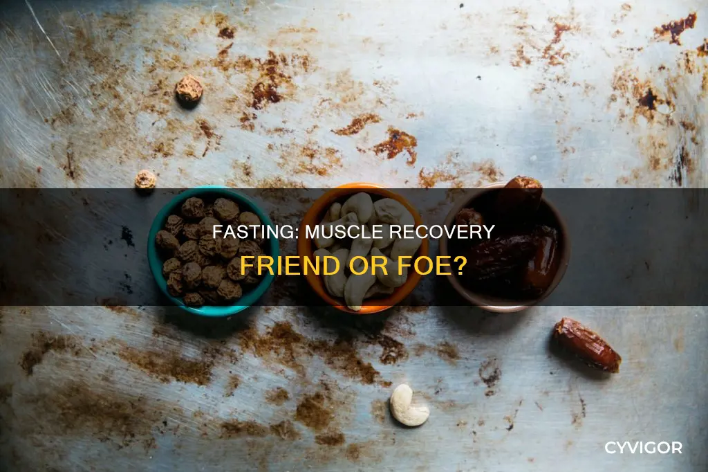 Fasting: Muscle Recovery Friend Or Foe? | CyVigor