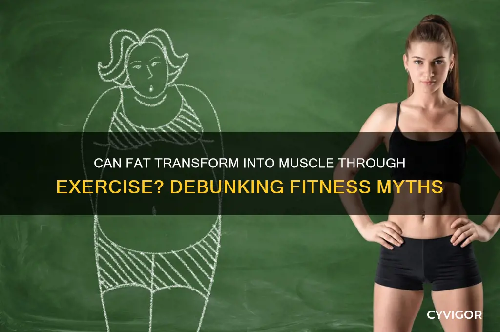 Can Fat Transform Into Muscle Through Exercise? Debunking Fitness Myths ...