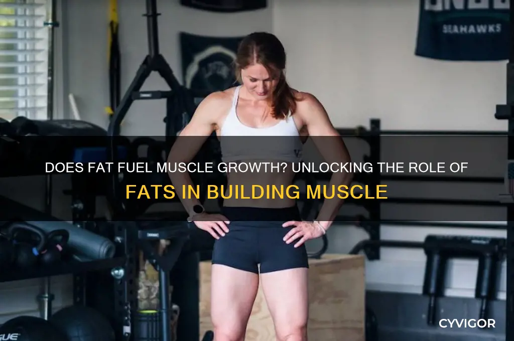 Does Fat Fuel Muscle Growth? Unlocking The Role Of Fats In Building ...