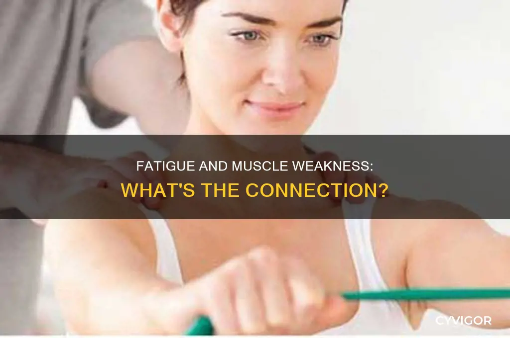Fatigue And Muscle Weakness: What's The Connection? | CyVigor
