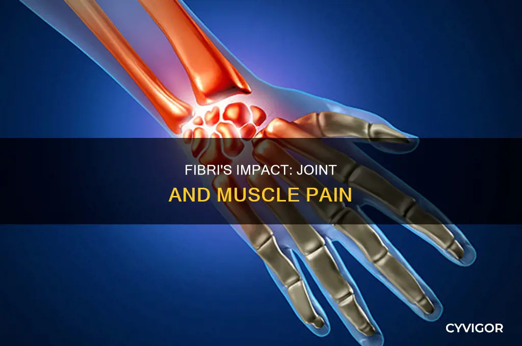 Fibri's Impact: Joint And Muscle Pain | CyVigor