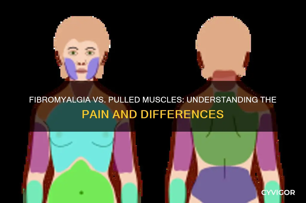 Fibromyalgia Vs. Pulled Muscles: Understanding The Pain And Differences ...