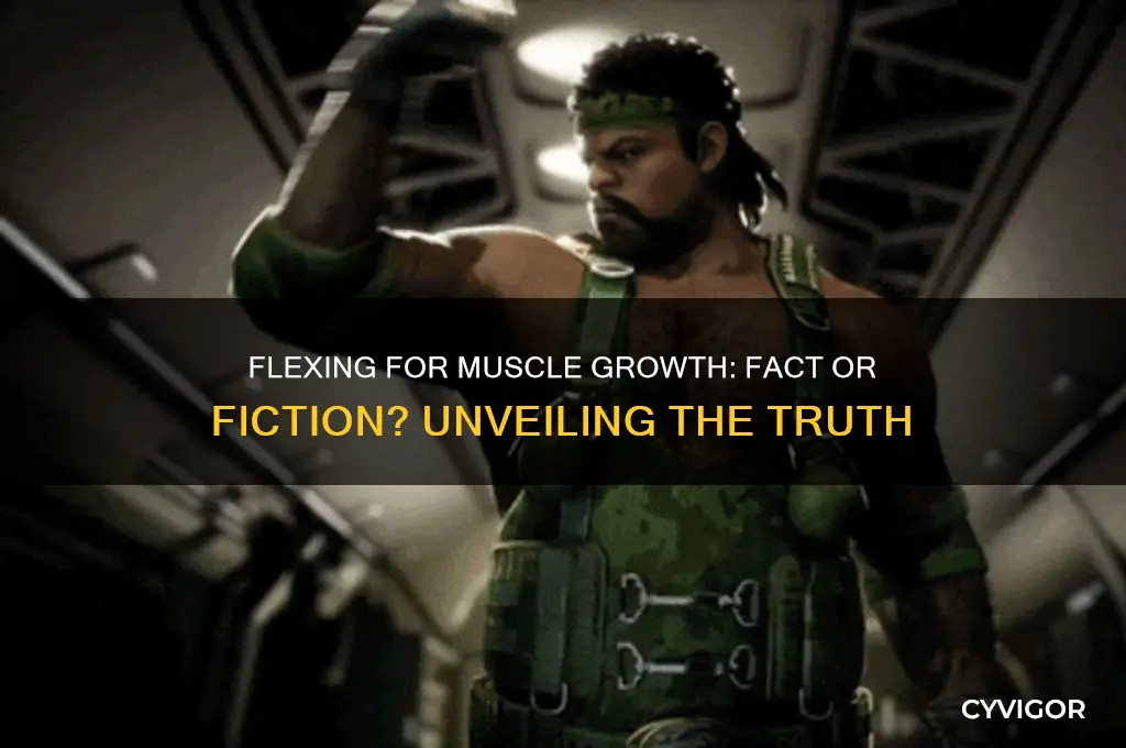 Flexing For Muscle Growth: Fact Or Fiction? Unveiling The Truth | CyVigor
