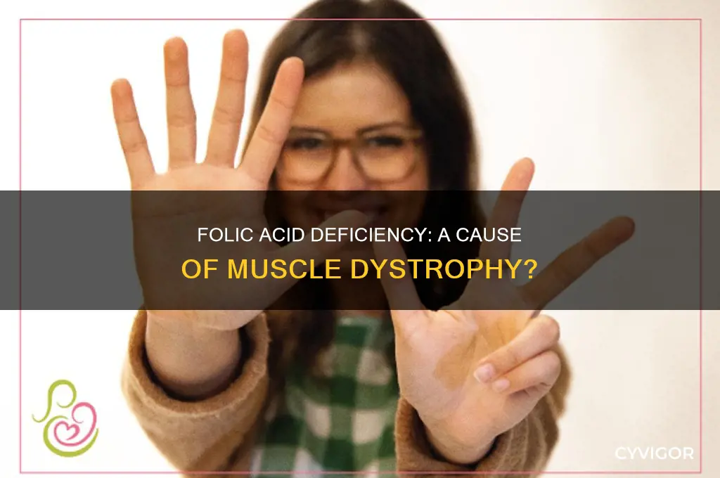 Folic Acid Deficiency: A Cause Of Muscle Dystrophy? | CyVigor