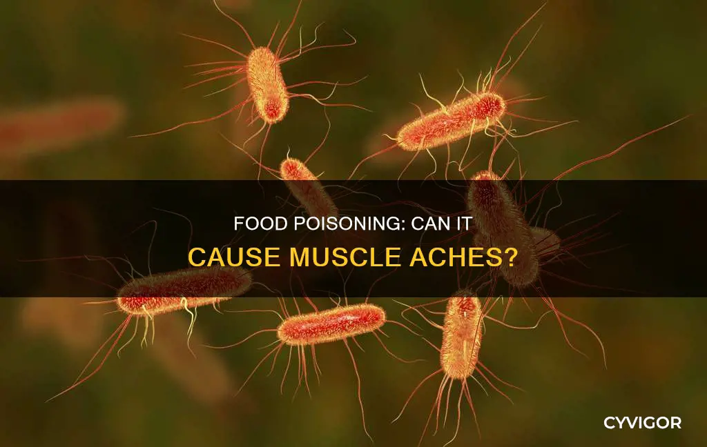 Food Poisoning: Can It Cause Muscle Aches? | CyVigor