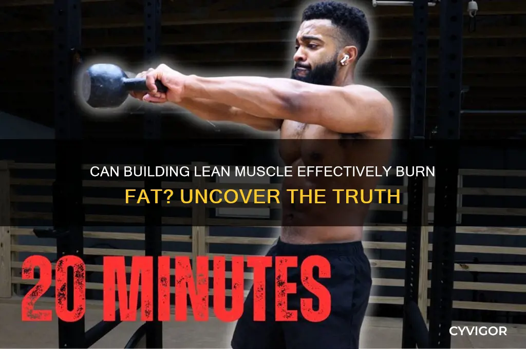 Can Building Lean Muscle Effectively Burn Fat? Uncover The Truth | CyVigor