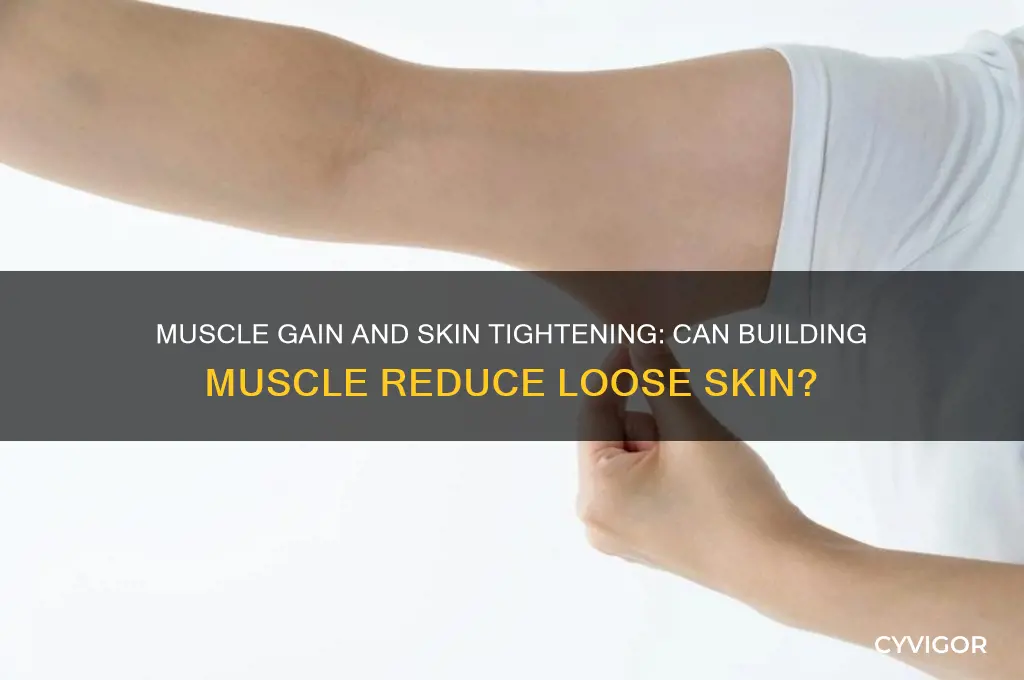 Muscle Gain And Skin Tightening: Can Building Muscle Reduce Loose Skin ...