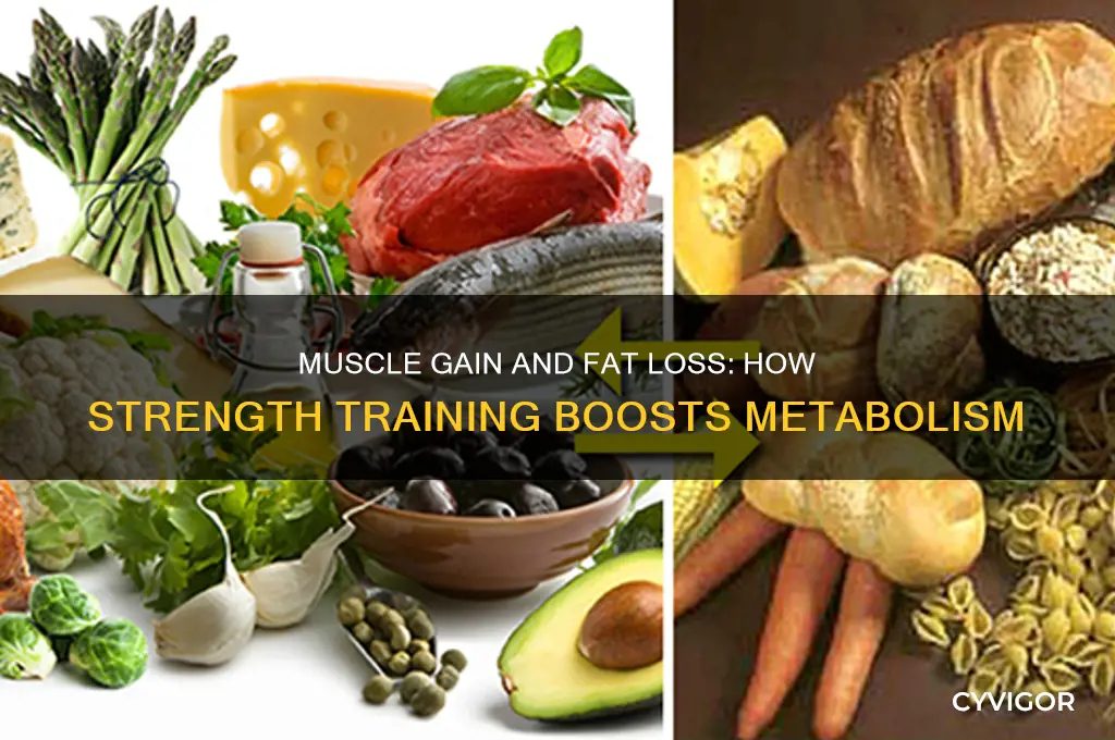 Muscle Gain And Fat Loss: How Strength Training Boosts Metabolism | CyVigor