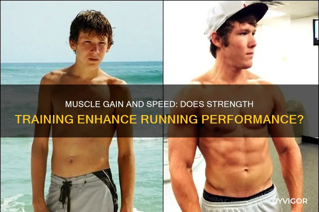 Muscle Gain And Speed: Does Strength Training Enhance Running ...