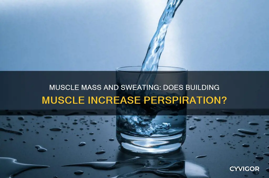 Muscle Mass And Sweating: Does Building Muscle Increase Perspiration ...