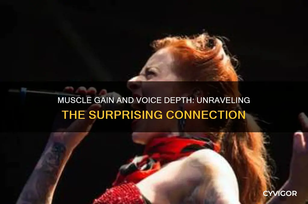 Muscle Gain And Voice Depth: Unraveling The Surprising Connection | CyVigor