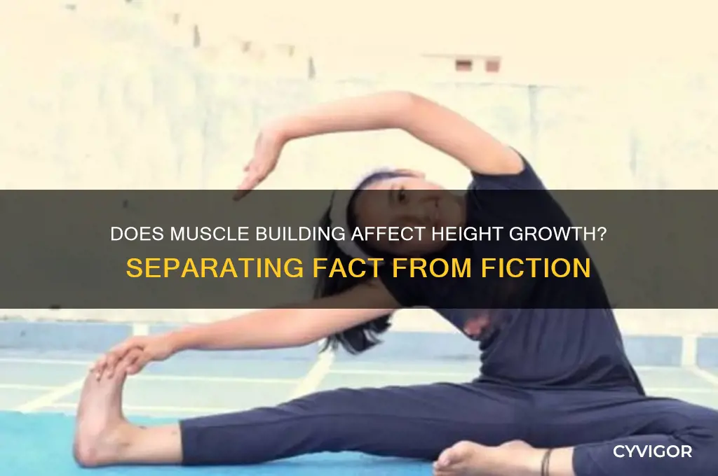 Does Muscle Building Affect Height Growth? Separating Fact From Fiction ...