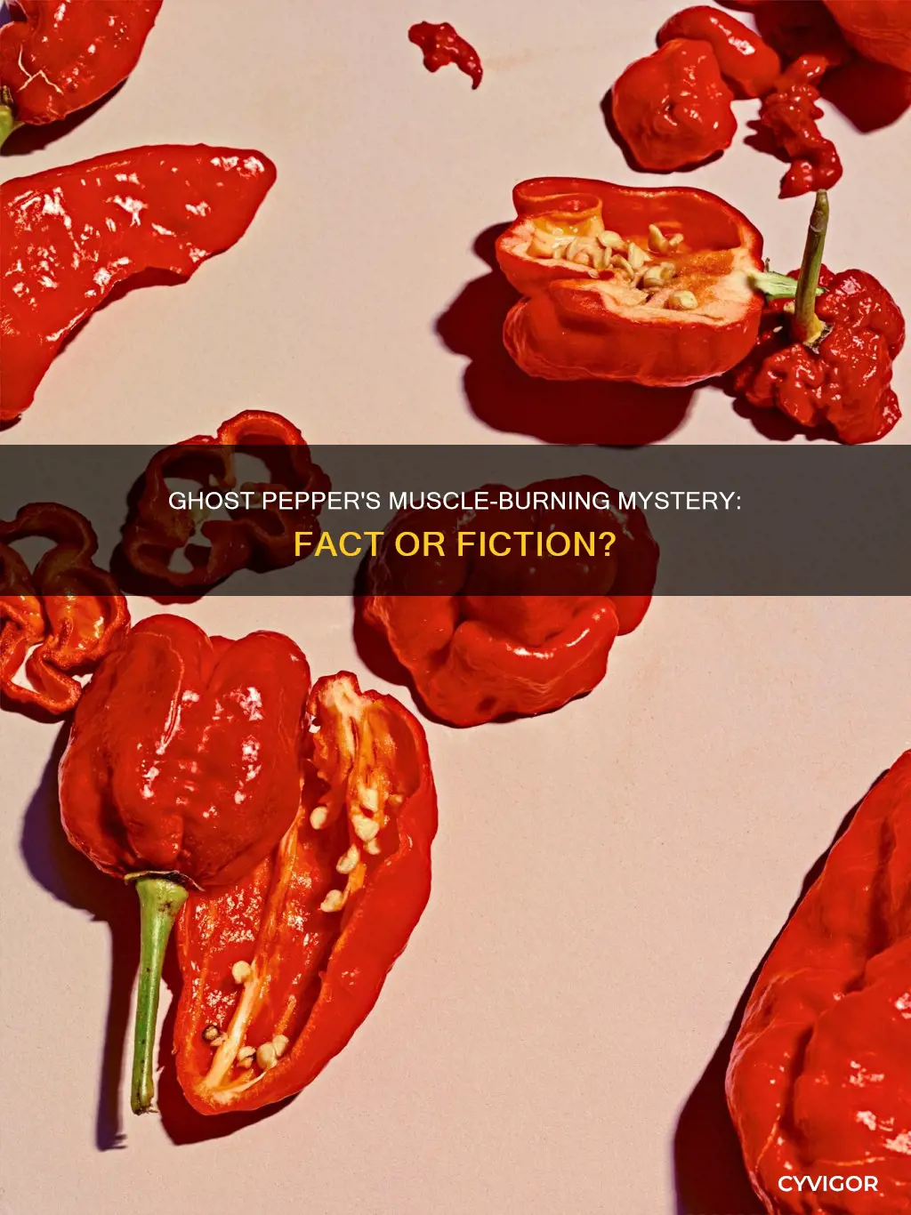 Ghost Pepper's Muscle-Burning Mystery: Fact Or Fiction? | CyVigor
