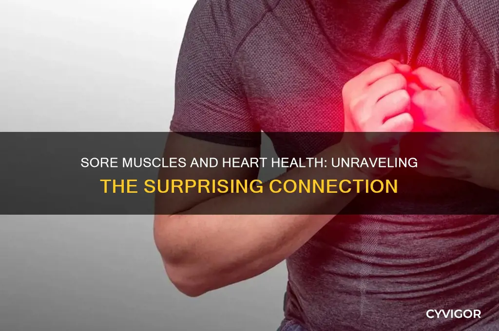 Sore Muscles And Heart Health: Unraveling The Surprising Connection ...