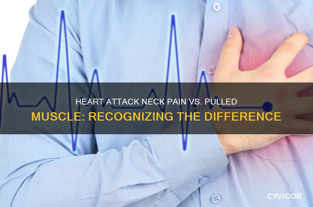 Heart Attack Neck Pain Vs. Pulled Muscle: Recognizing The Difference ...