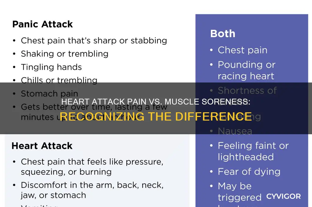 Heart Attack Pain Vs. Muscle Soreness: Recognizing The Difference | CyVigor