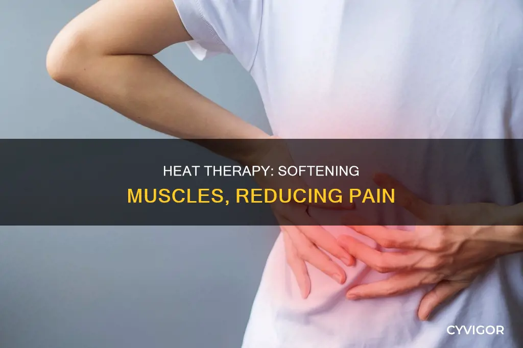 Heat Therapy: Softening Muscles, Reducing Pain | CyVigor