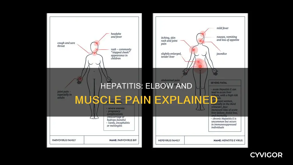 Hepatitis: Elbow And Muscle Pain Explained | CyVigor