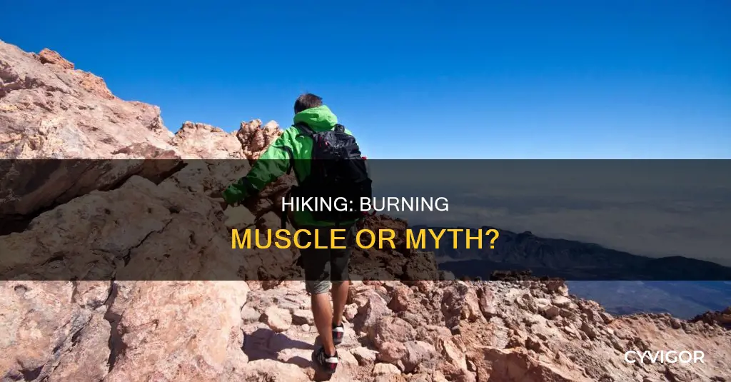 Hiking: Burning Muscle Or Myth? | CyVigor
