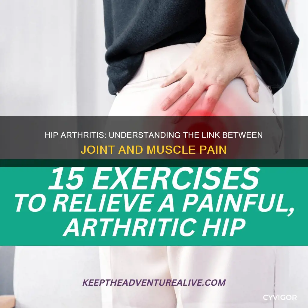 Hip Arthritis: Understanding The Link Between Joint And Muscle Pain ...