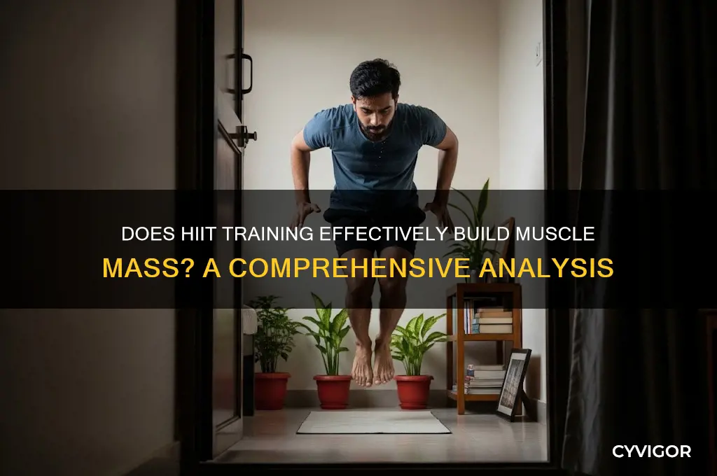Does Hiit Training Effectively Build Muscle Mass? A Comprehensive ...