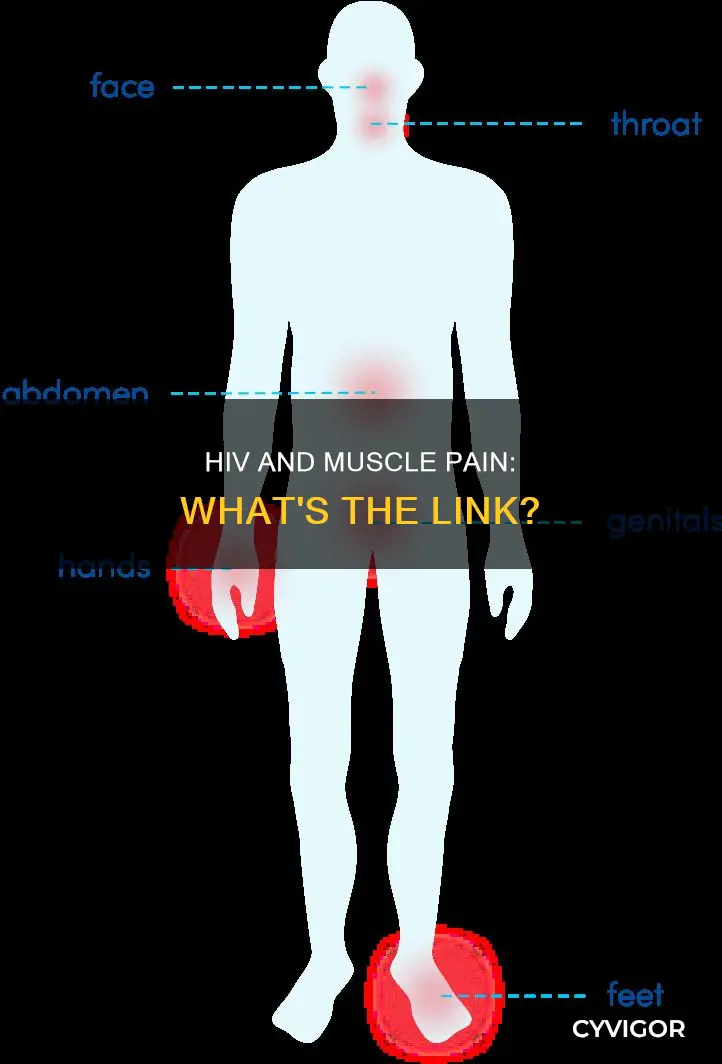 Hiv And Muscle Pain: What's The Link? | CyVigor