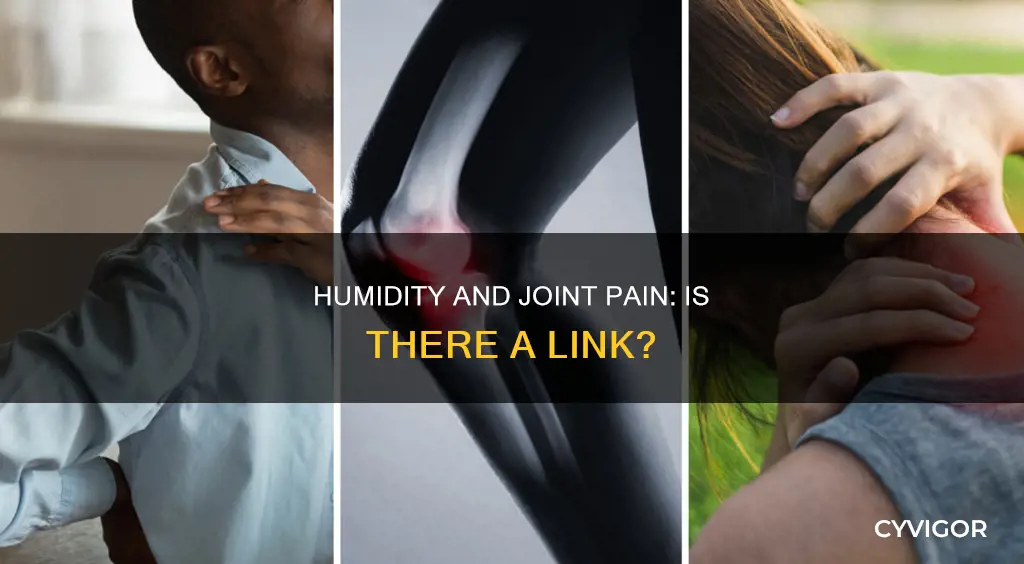 Humidity And Joint Pain: Is There A Link? | CyVigor