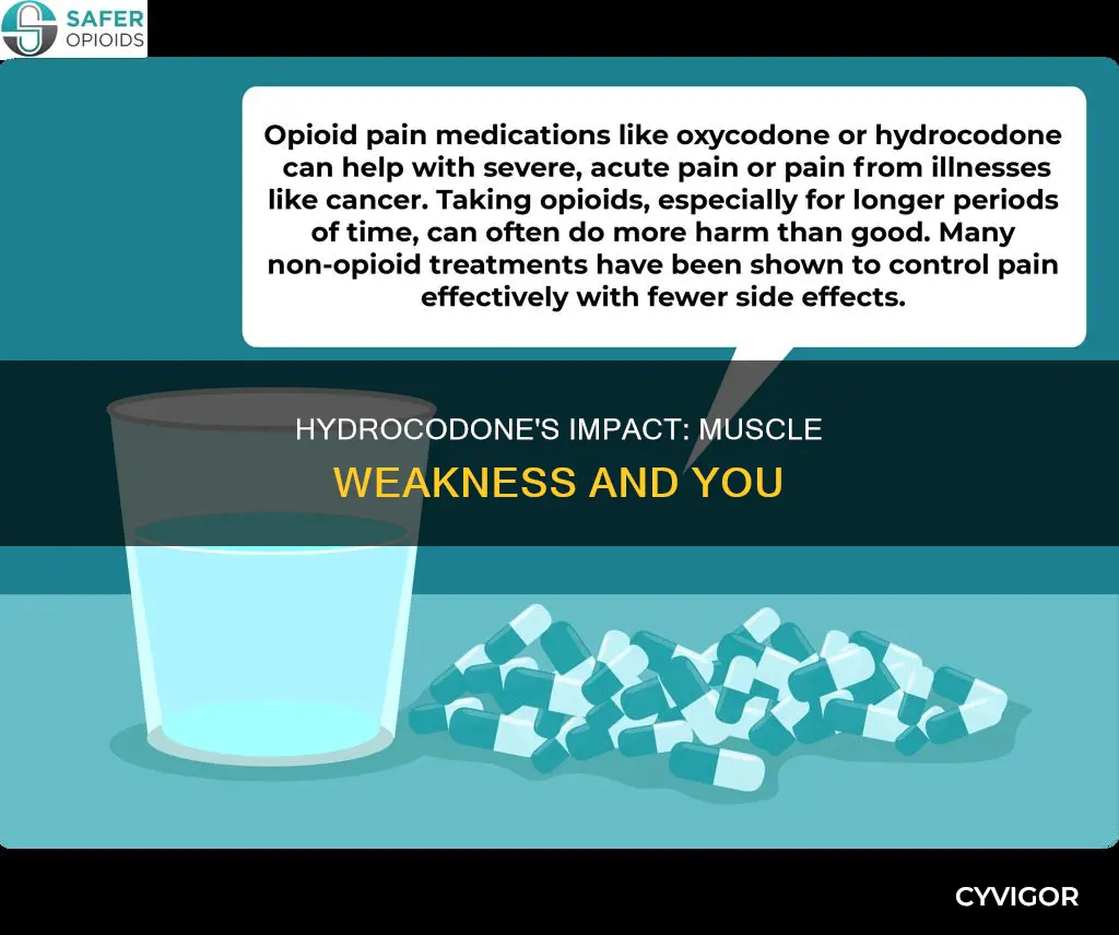 Hydrocodone's Impact: Muscle Weakness And You | CyVigor