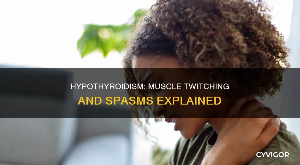 Hypothyroidism: Muscle Twitching And Spasms Explained | CyVigor