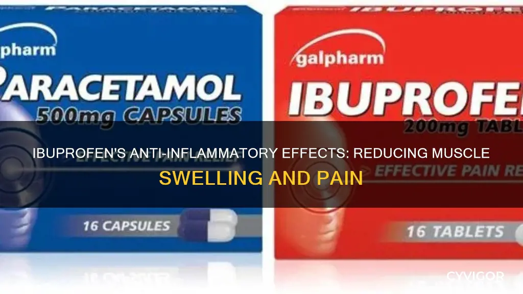 Ibuprofen's Anti-Inflammatory Effects: Reducing Muscle Swelling And ...