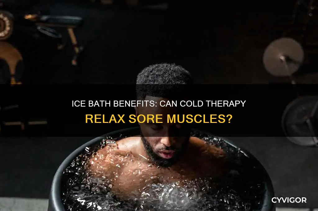 Ice Bath Benefits: Can Cold Therapy Relax Sore Muscles? | CyVigor