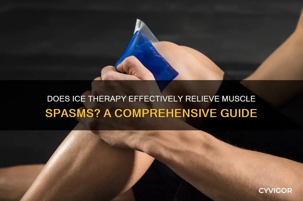 Does Ice Therapy Effectively Relieve Muscle Spasms? A Comprehensive ...