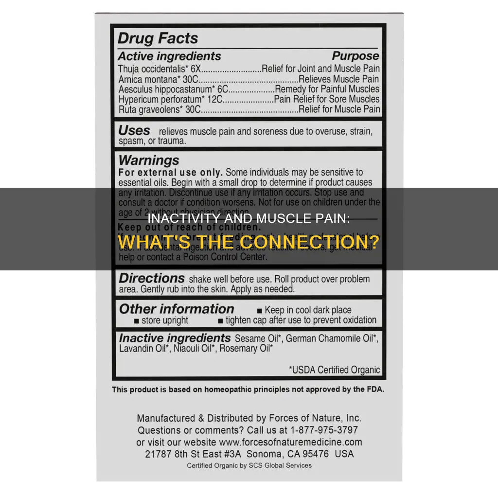 Inactivity And Muscle Pain: What's The Connection? | CyVigor