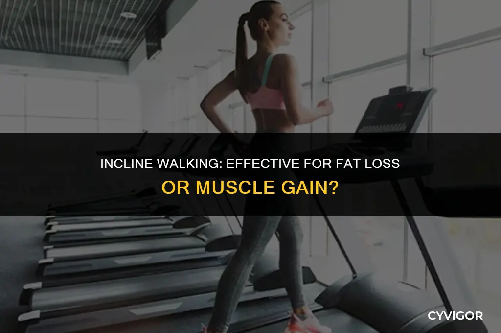 Incline Walking: Effective For Fat Loss Or Muscle Gain? | CyVigor
