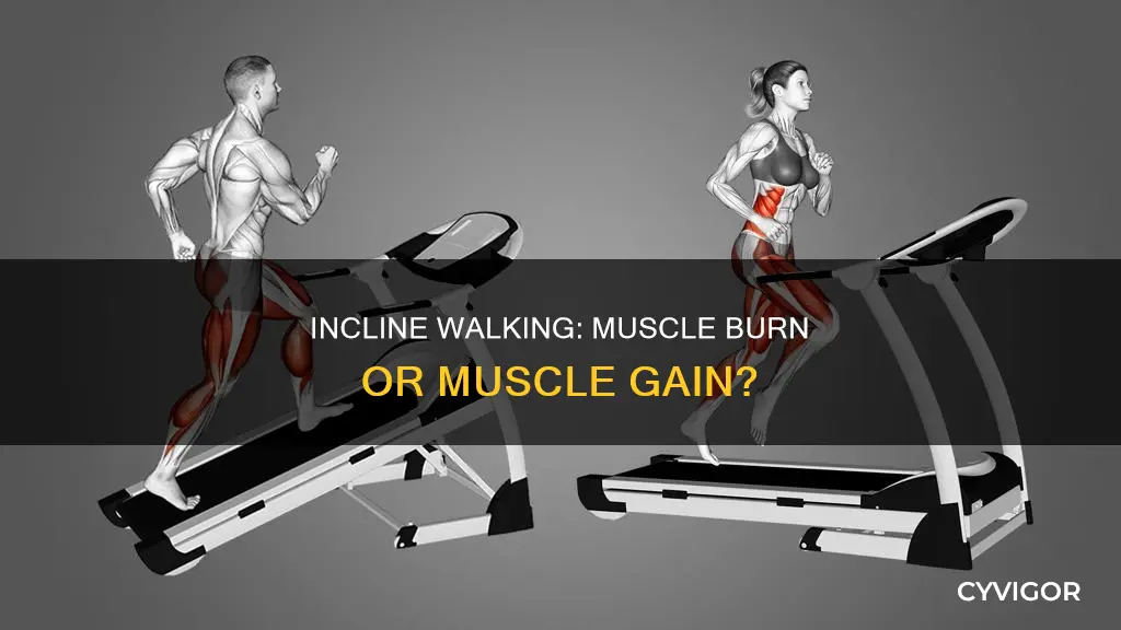 Incline Walking: Muscle Burn Or Muscle Gain? | CyVigor