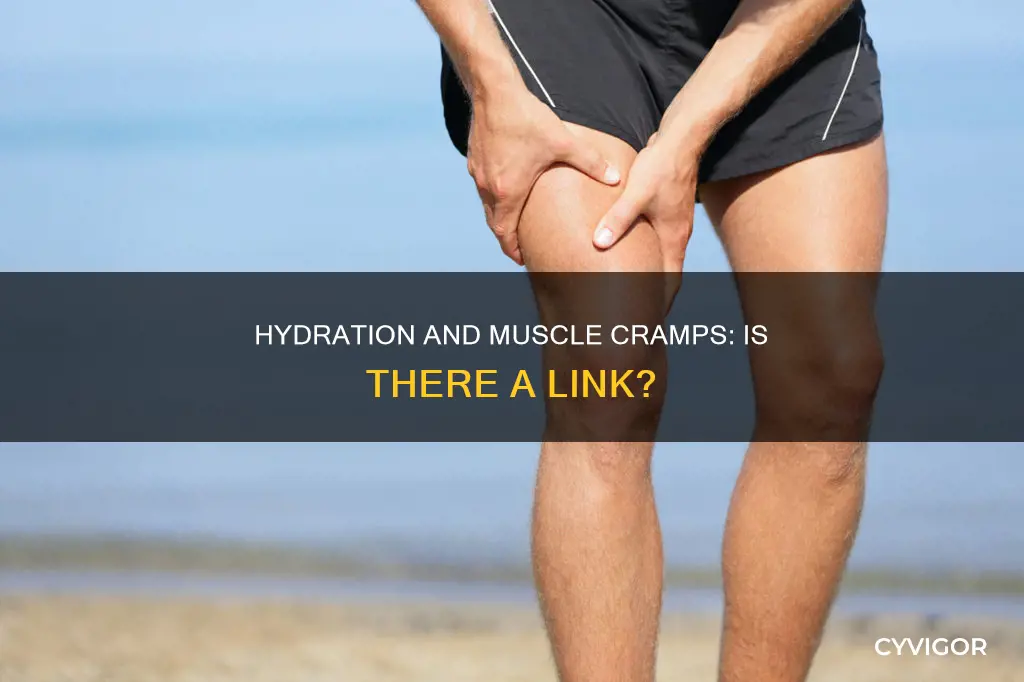 Hydration And Muscle Cramps: Is There A Link? | CyVigor