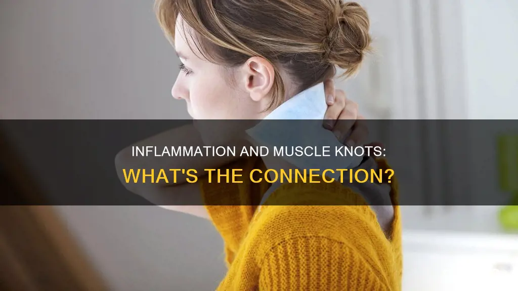 Inflammation And Muscle Knots: What's The Connection? | CyVigor