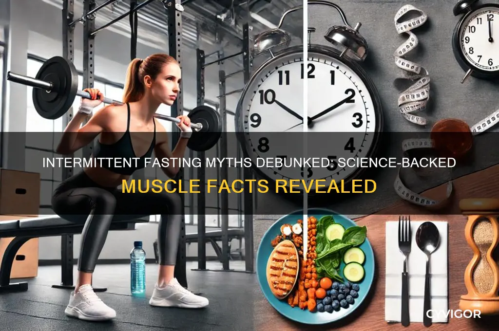 Intermittent Fasting Myths Debunked: Science-Backed Muscle Facts ...