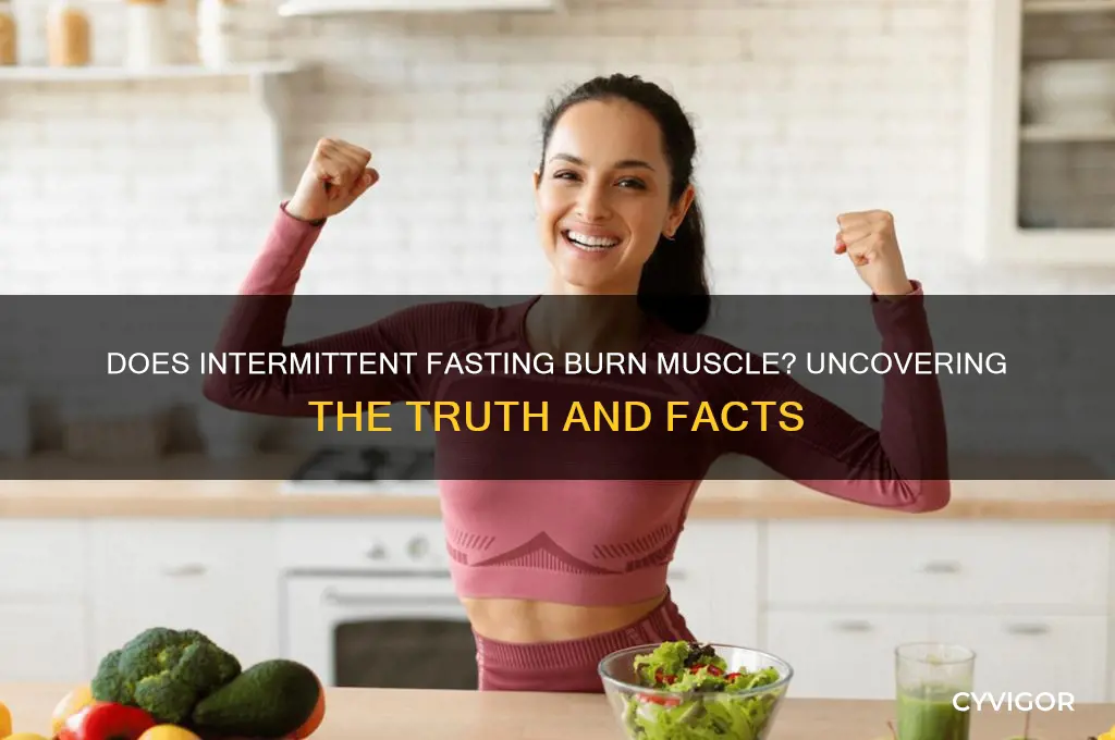 Does Intermittent Fasting Burn Muscle? Uncovering The Truth And Facts ...