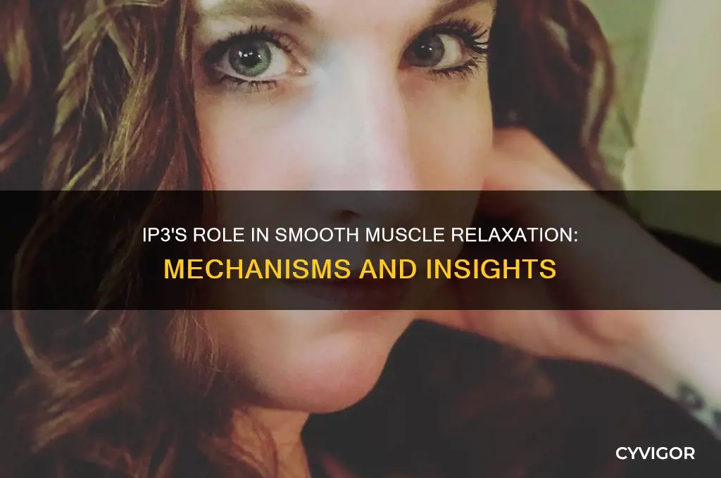 Ip3's Role In Smooth Muscle Relaxation: Mechanisms And Insights | CyVigor