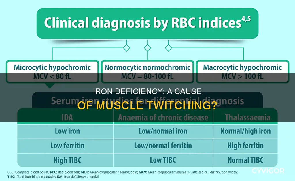 Iron Deficiency: A Cause Of Muscle Twitching? | CyVigor